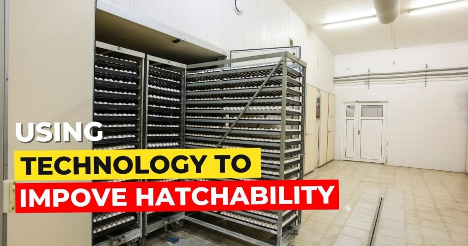 Monitoring Your Hatchery & Know how Temperature, Humidity and KPI ...